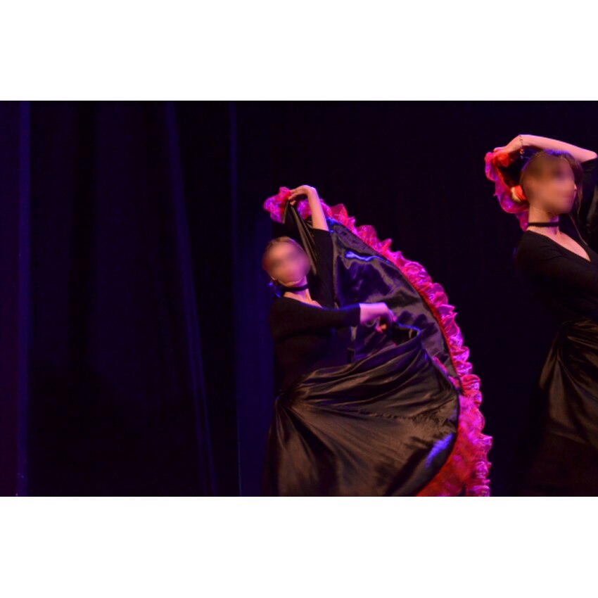 Luxe Team Wear Flamenco Rok Voor Vrouwen Gypsy Mei... – Vicedeal