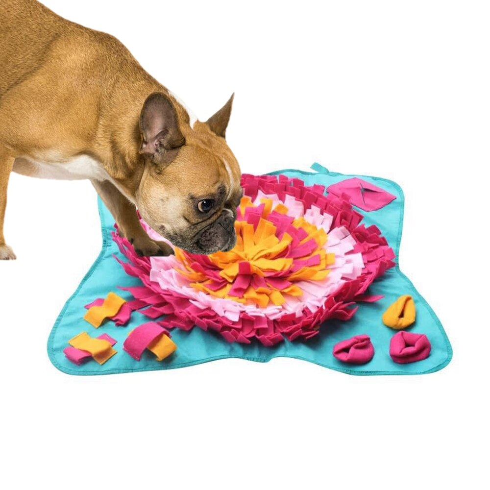 Pet Training Matten Spelen Hond Mat Hond Trage Voe... – Grandado