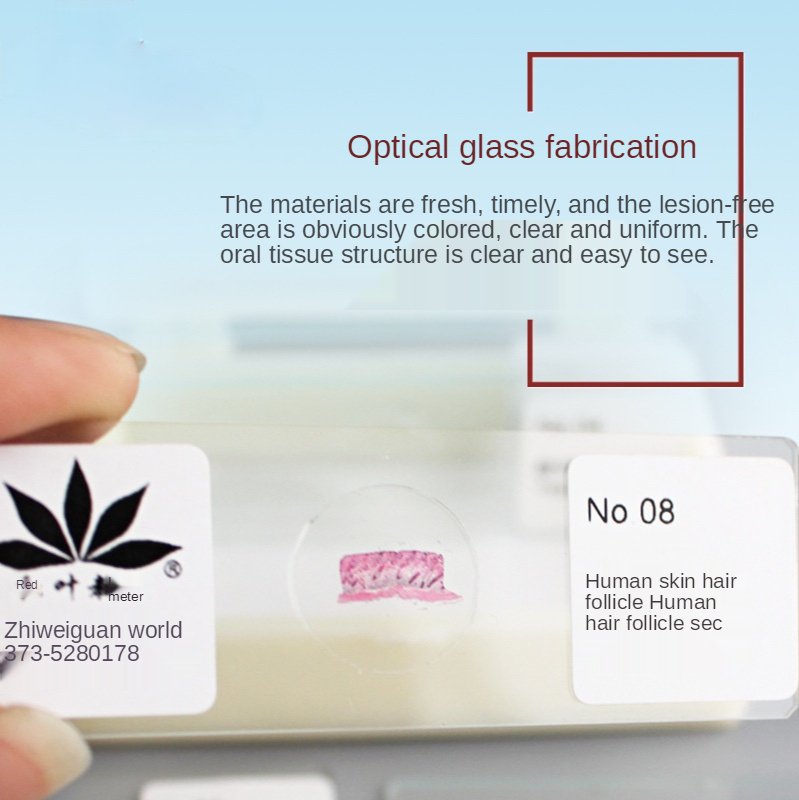 Fixed selection of representative biological slice... – Grandado