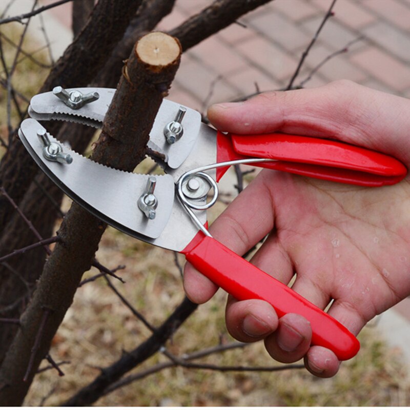 Garten Obst Rinde Ring Cutter Baum Zweig Strippen ... – Grandado