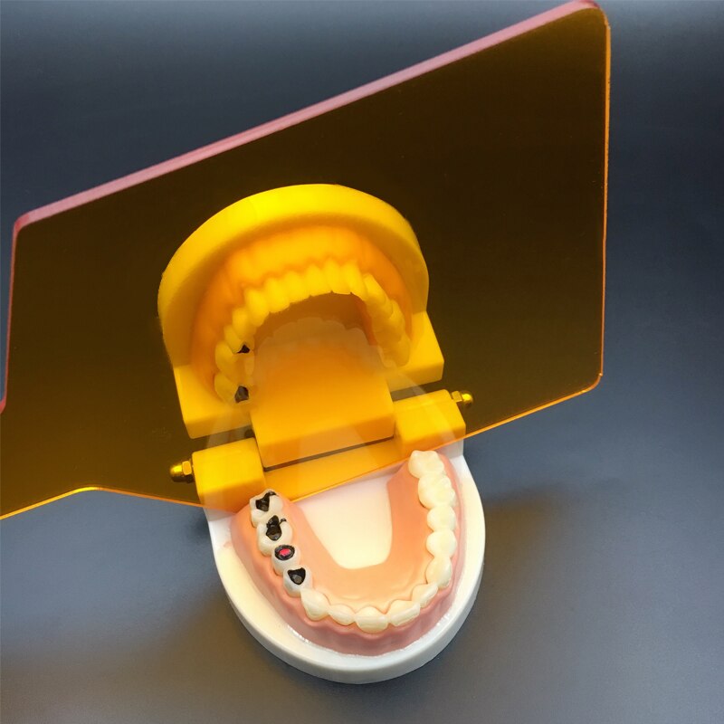 Dental Curing Light Shield Plate Eye-protective Bo... – Vicedeal