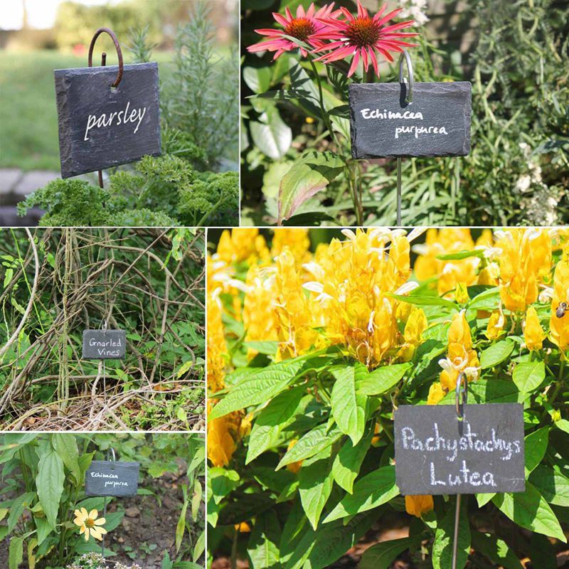 5 Pcs Tuin Plant Markers Label Pot Planter Plantaa... – Grandado