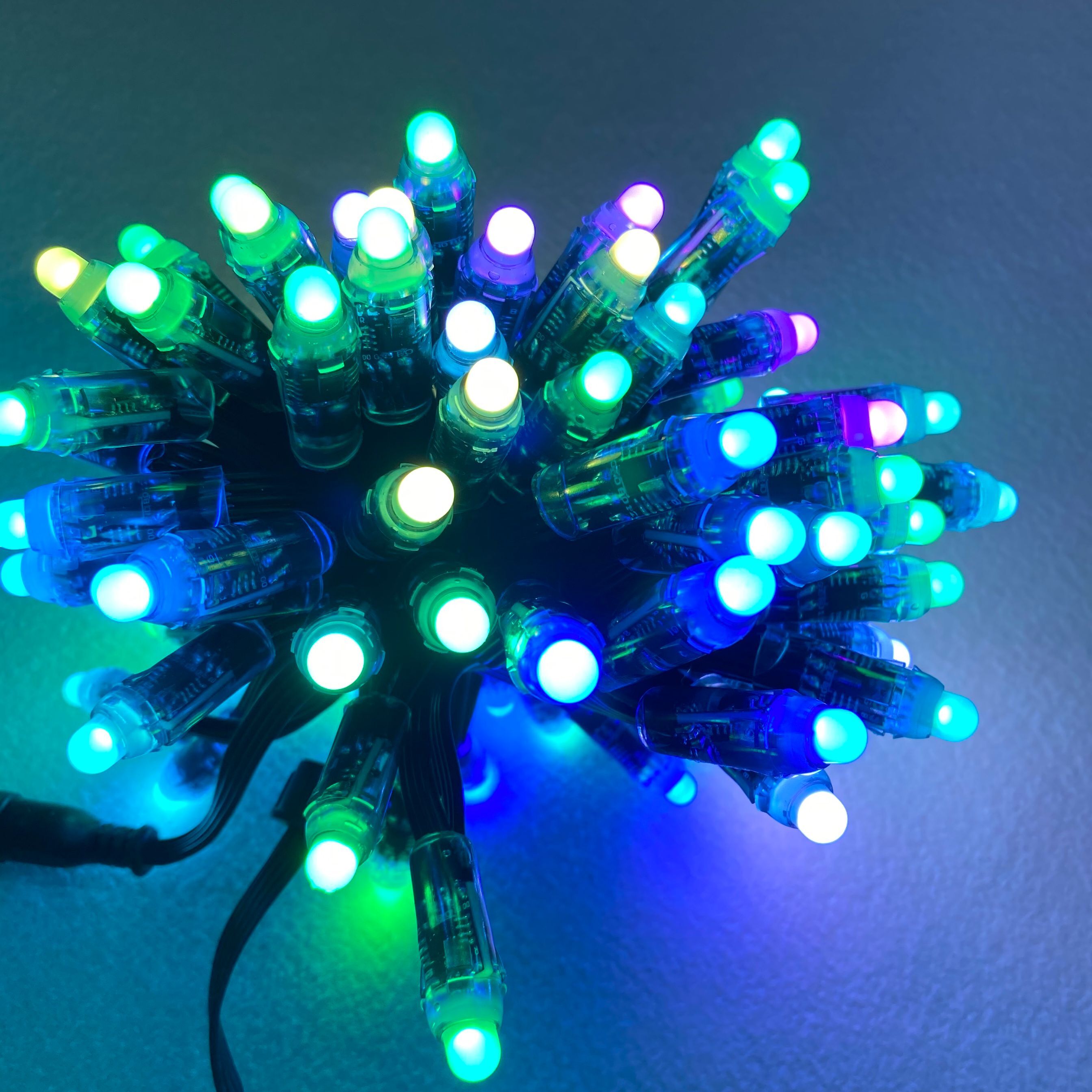 12mm bullet DC12V WS2818 RGB full color addressabl... – Grandado