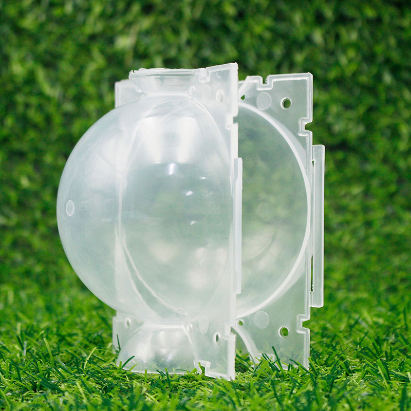 Visible Plant Root Growing Ball Sapling Overhead C... – Grandado