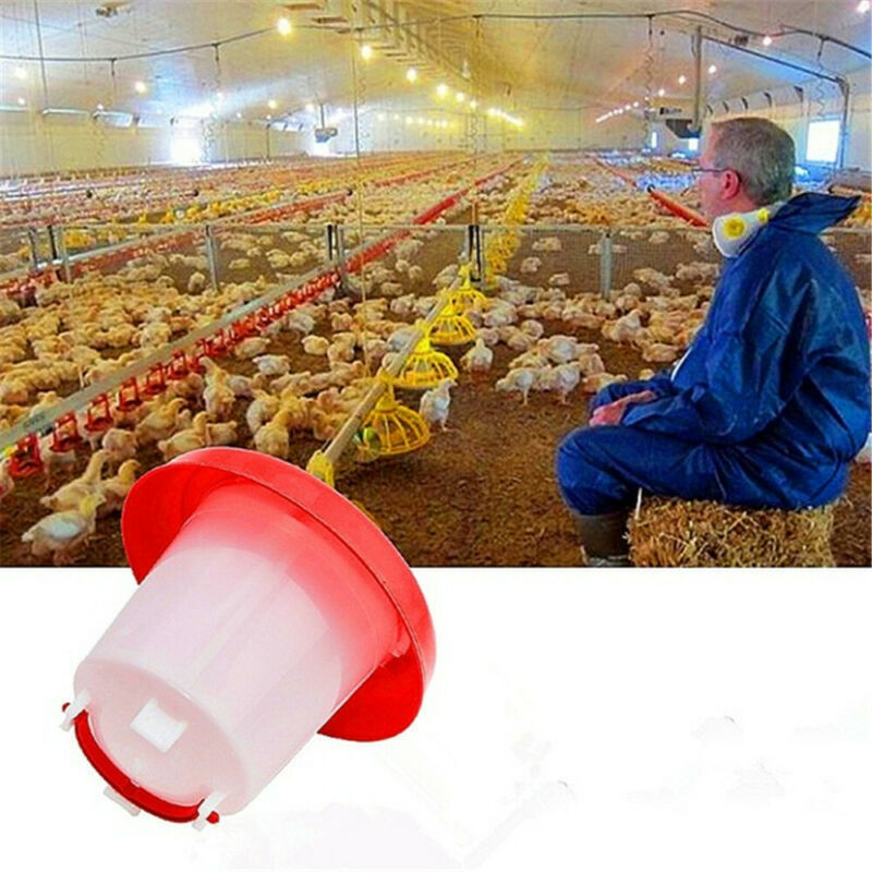 Chicken Feeder Drinker Poultry Chick Hen Bantam Fo... – Grandado