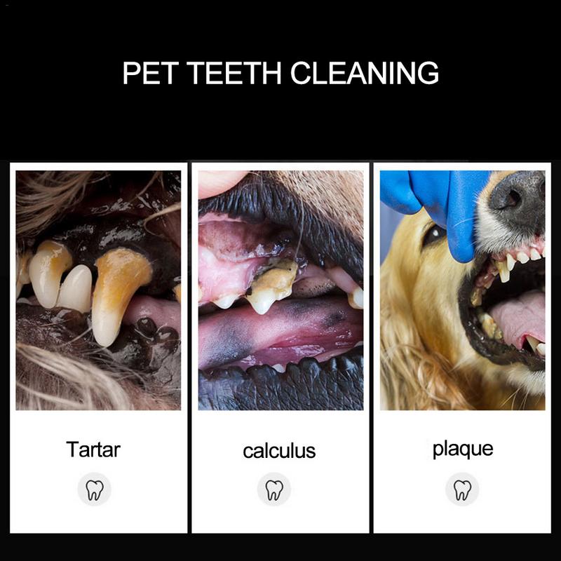 Pets Teeth Cleaning Tools Double Sided Dogs Cats T... – Grandado
