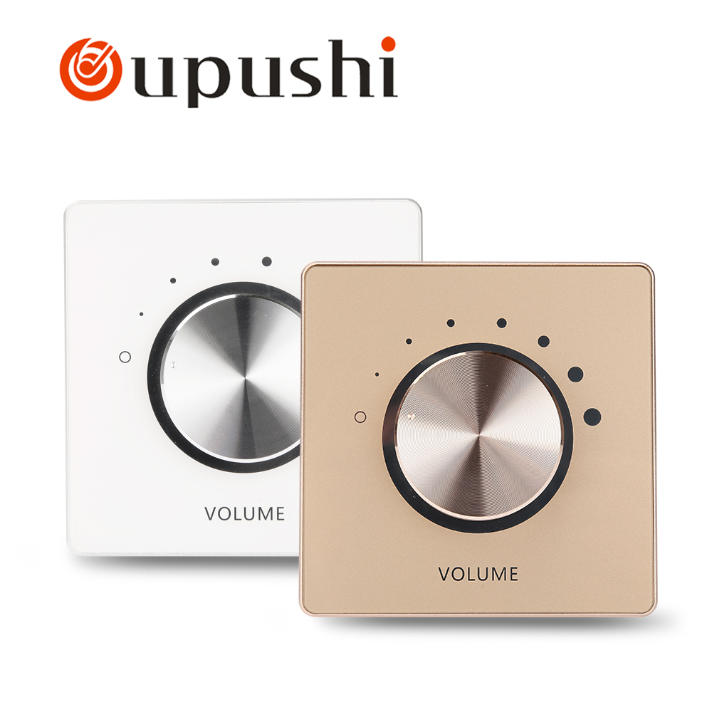 50w Deluxe Edition Fixed resistance volume control... – Vicedeal