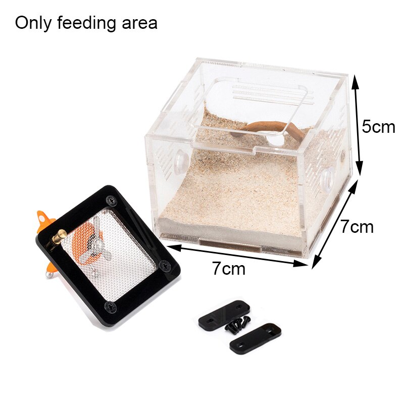 Unlimited Expansion Ant Farm House with Feeding Ar... – Grandado