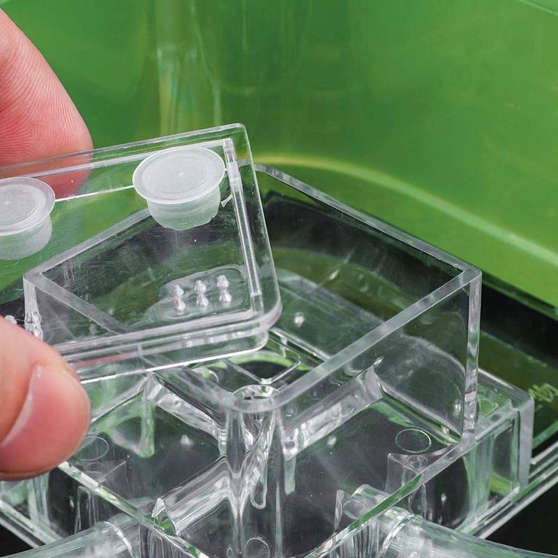3D Ant Home Insect Nest Acrylic Farm House Work Ed... – Vicedeal