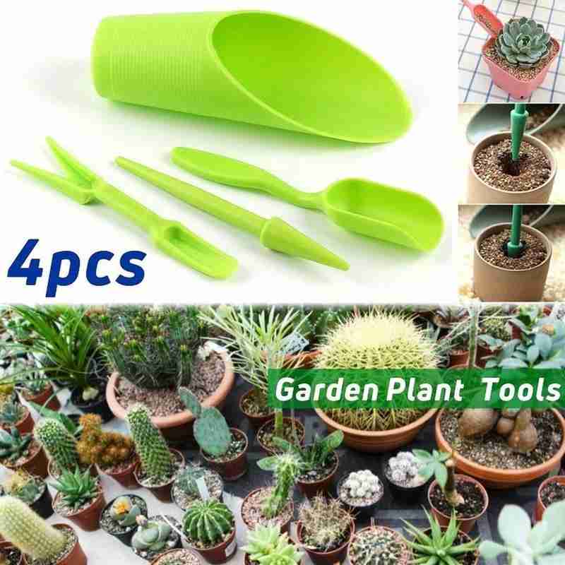 Seedling Migration Tool Kit Succulents Nursery Gro... – Grandado