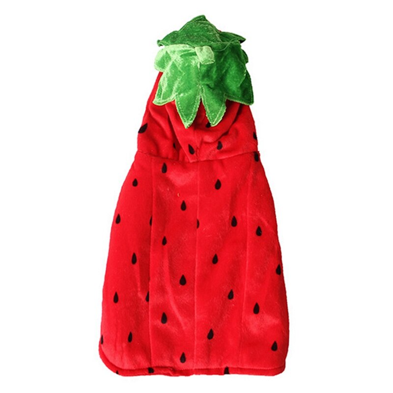 Halloween Kat Kleding Leuke Rode Aardbei Transform... – Grandado
