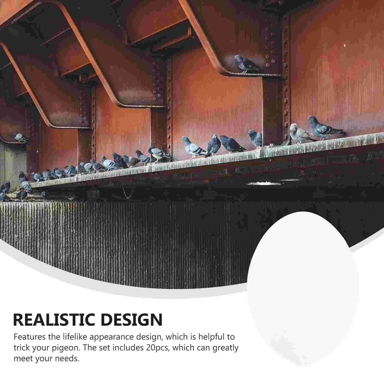 20pcs Lifelike Simulation Pigeon Egg Pigeon Laying... – Grandado