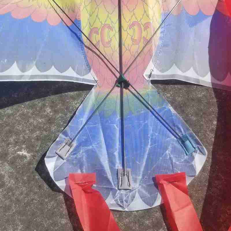 Flat Parrot Kite With 30 Meter Kite Line Children ... – Grandado