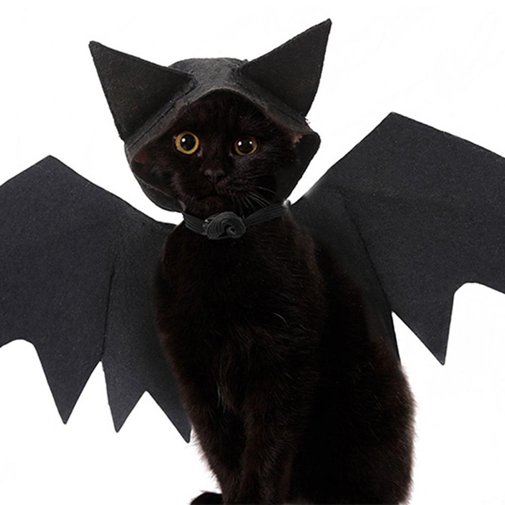 Halloween Pet Bat Wings Costumes with Hat Fancy Dr... – Vicedeal