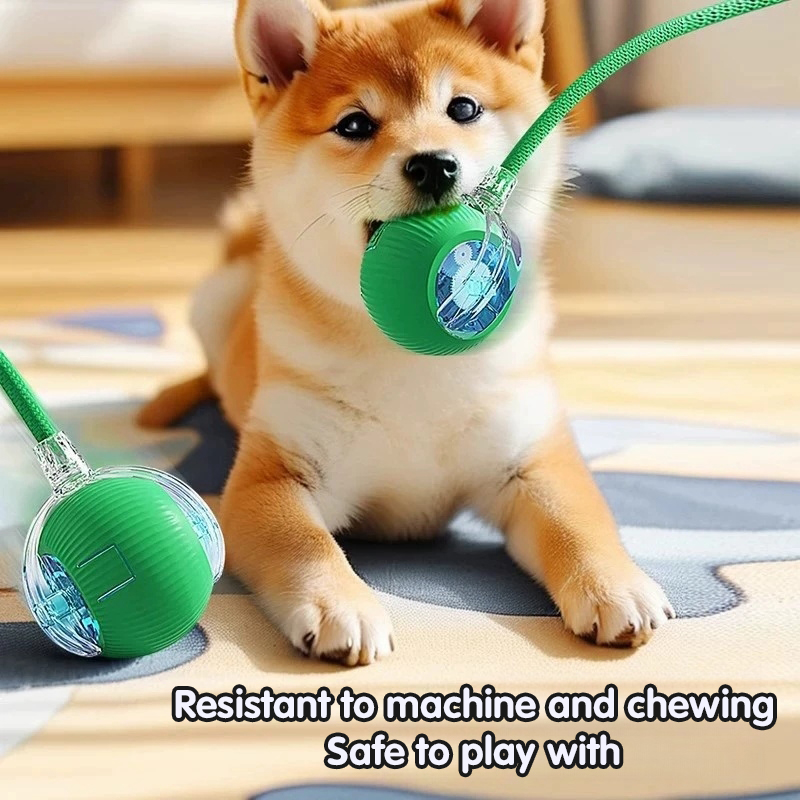 Automatic Rolling Ball Smart Interactive Tease Dog... – Grandado