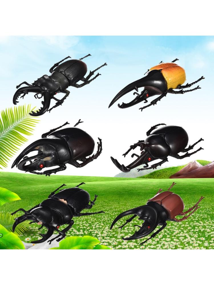 Insects Learning DOYIFun Pack Of 6 Lifelike Beetle Model Toys, Fake ...