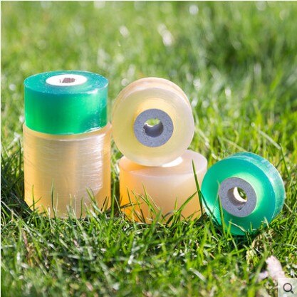 10 volumes Enten bandjes Fruit boom zaailing bandi... – Grandado