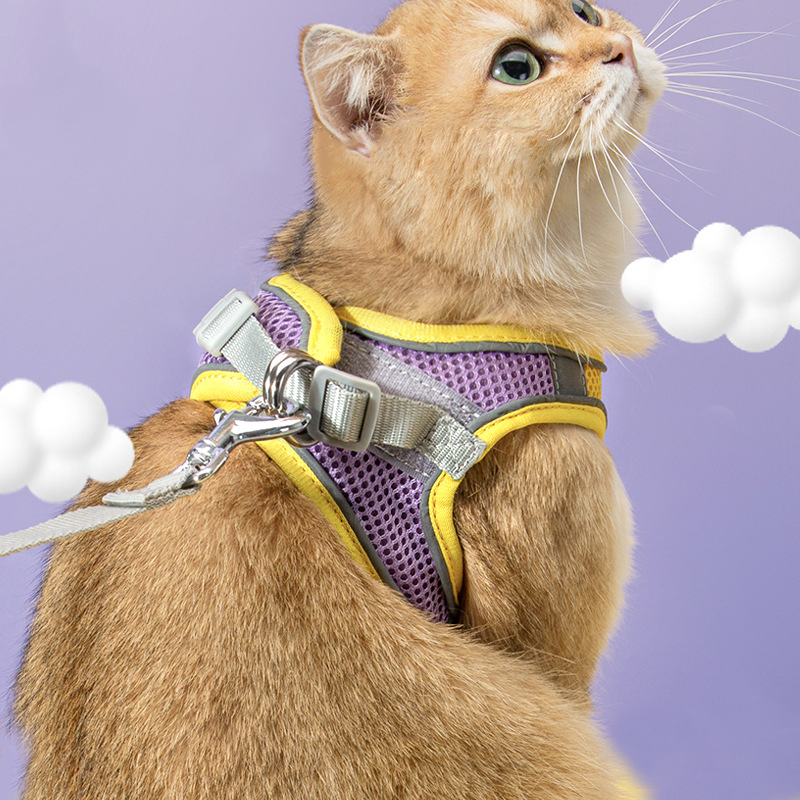 Gato arreios trela conjunto gato tração corda gato... – Vicedeal