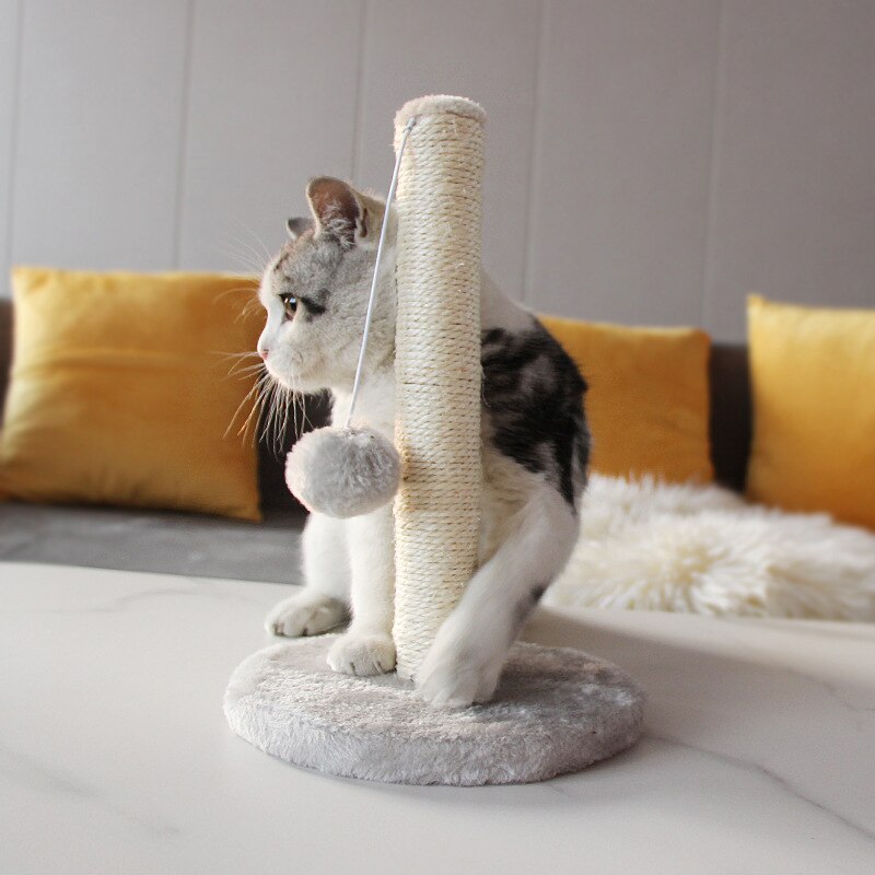 Cute Pet Cat Toy with Ball Pet Scratching Post Sta... – Grandado