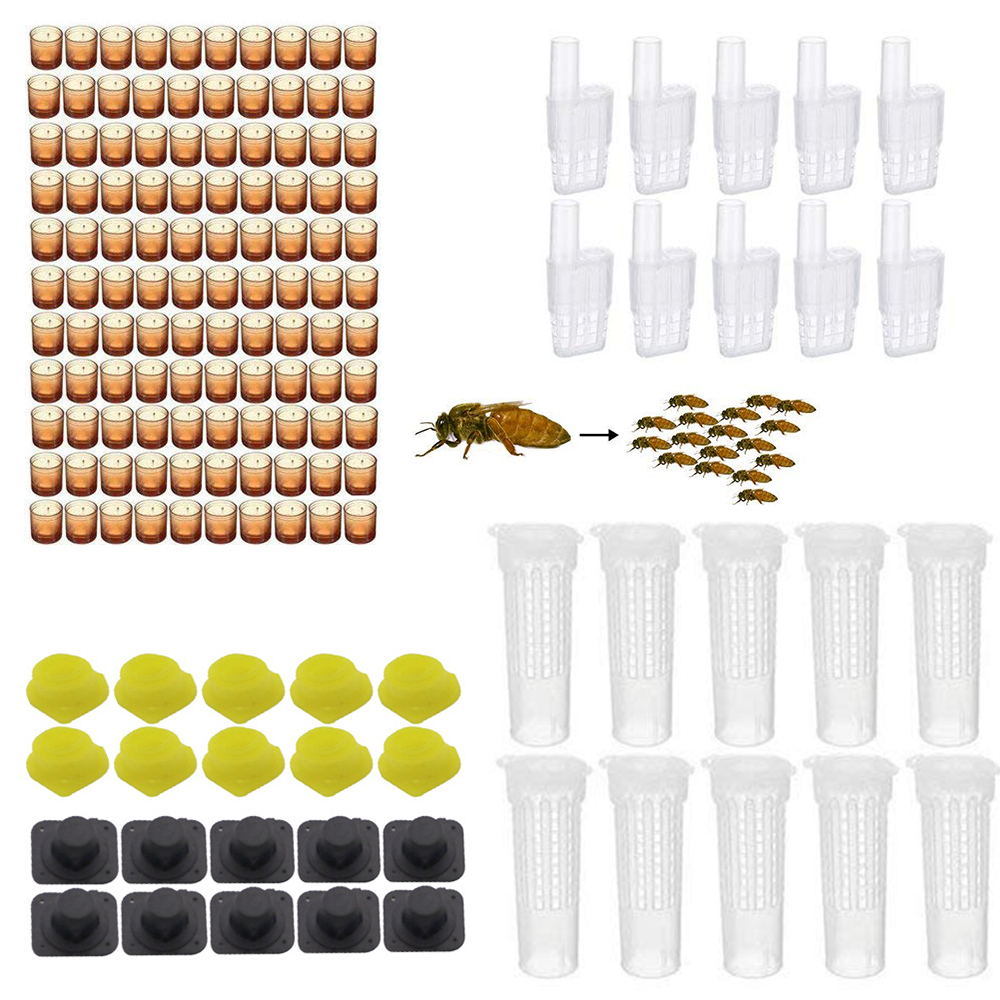 1set Apicultura Kit Complete Bee Queen Rearing Set... – Grandado