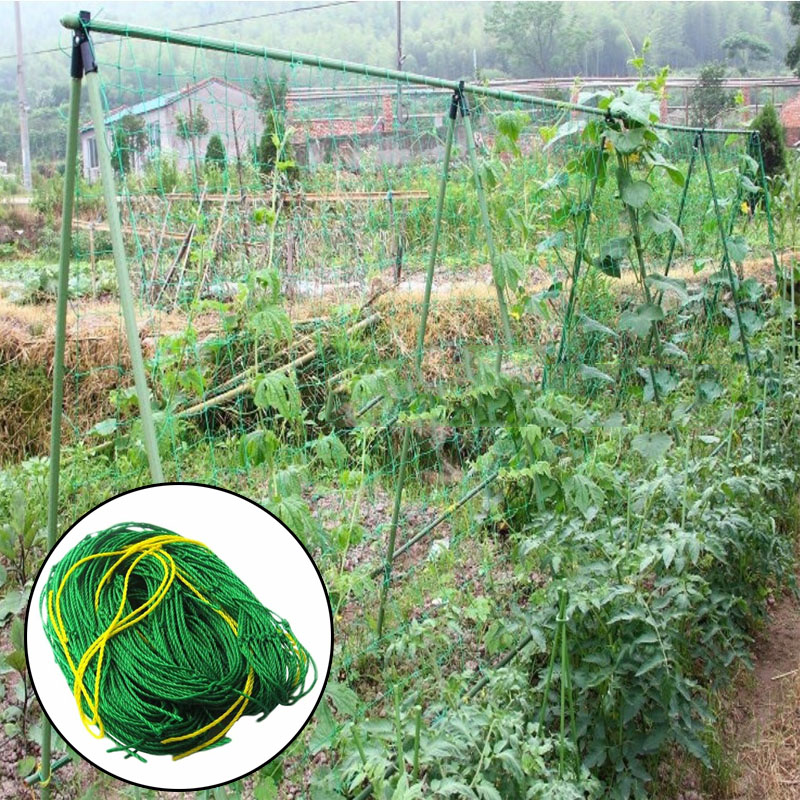 Trellis Plastic Climbing Net Garden Climbing Net M... – Grandado