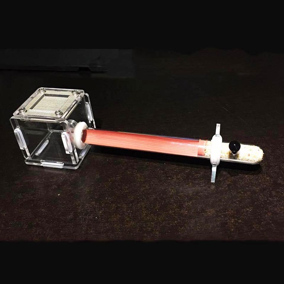 Mini Single Test Tube Nest Acrylic Ant Nest Cabbag... – Grandado