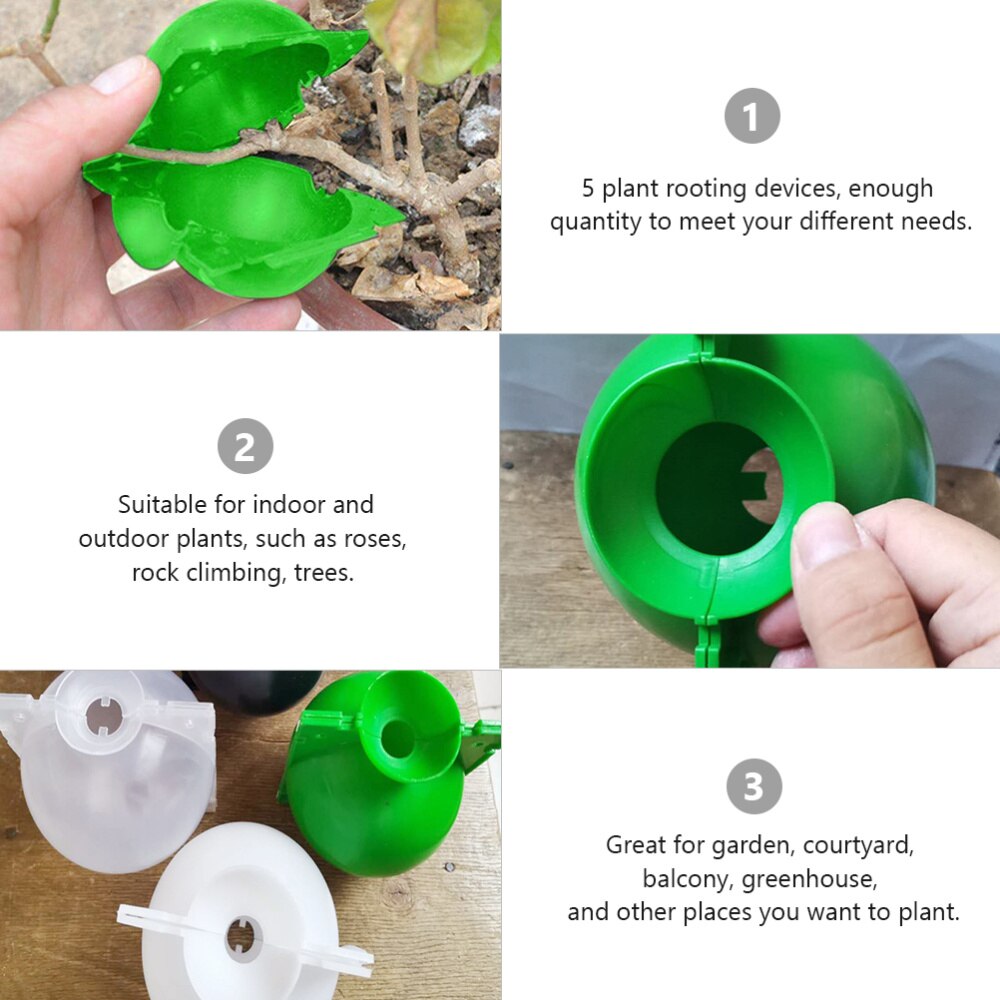 5Pcs Plant Rooting Device Propagation Asexual High... – Grandado