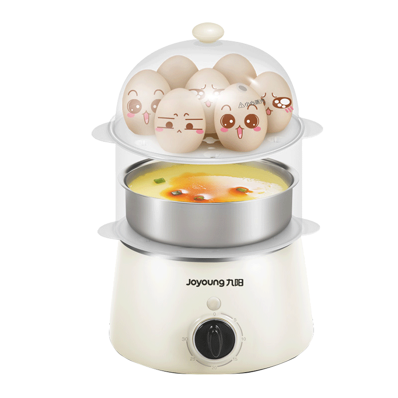 220V 2 Layers Household Electric Steamer Portable ... – Grandado