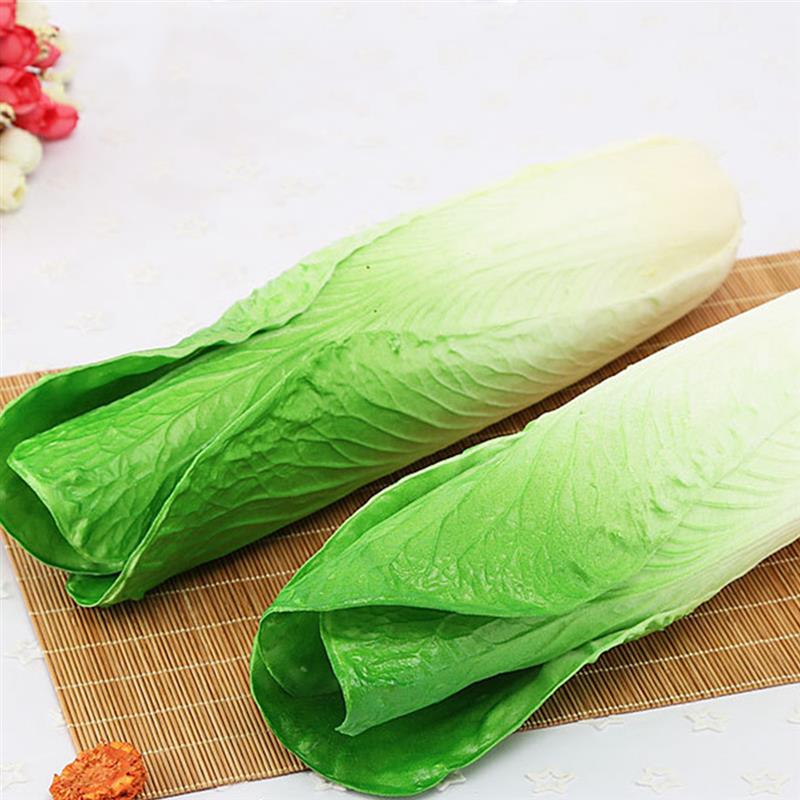 1pc Lifelike Artificial Vegetable Realistic Cabbag... – Grandado