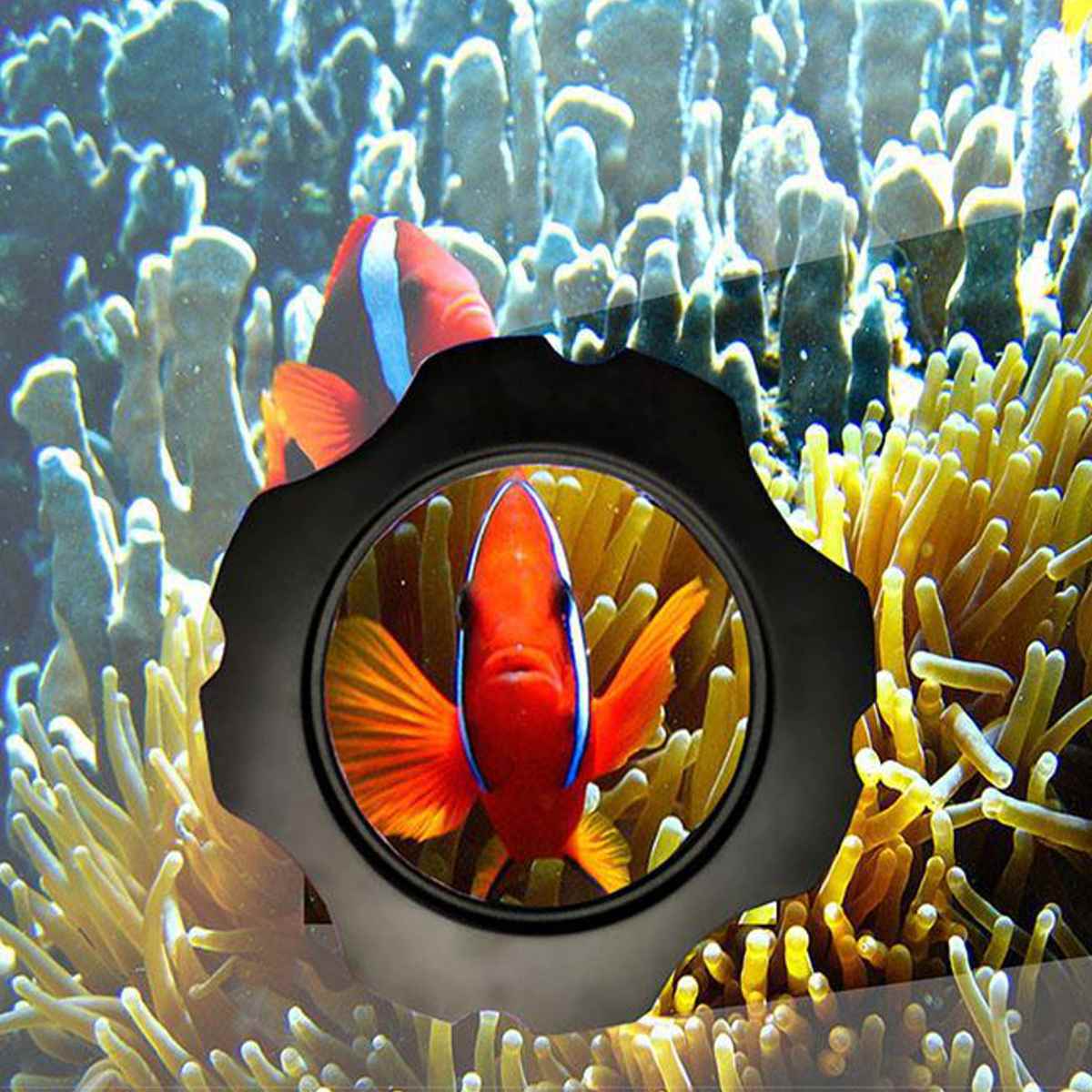 Aquarium Magnetic Fish Tank Glass Cleaner Scraper ... – Grandado