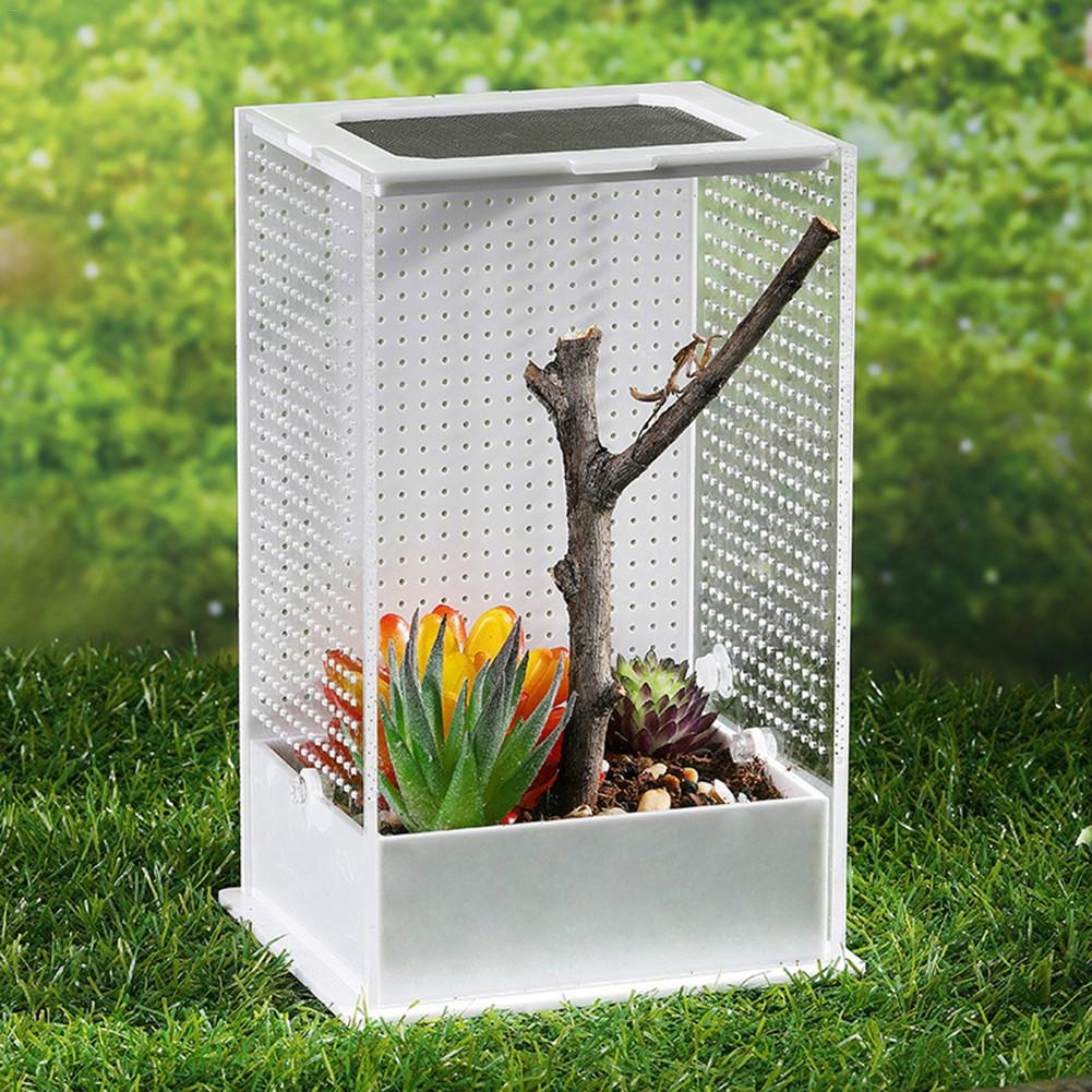 Transparent Acrylic Reptile Feeding Box Insect Box... – Grandado