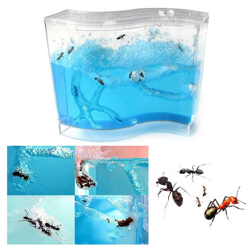 Ant 73 * 32 * 78mm Live Ant Habitat Pet Educationa... – Vicedeal