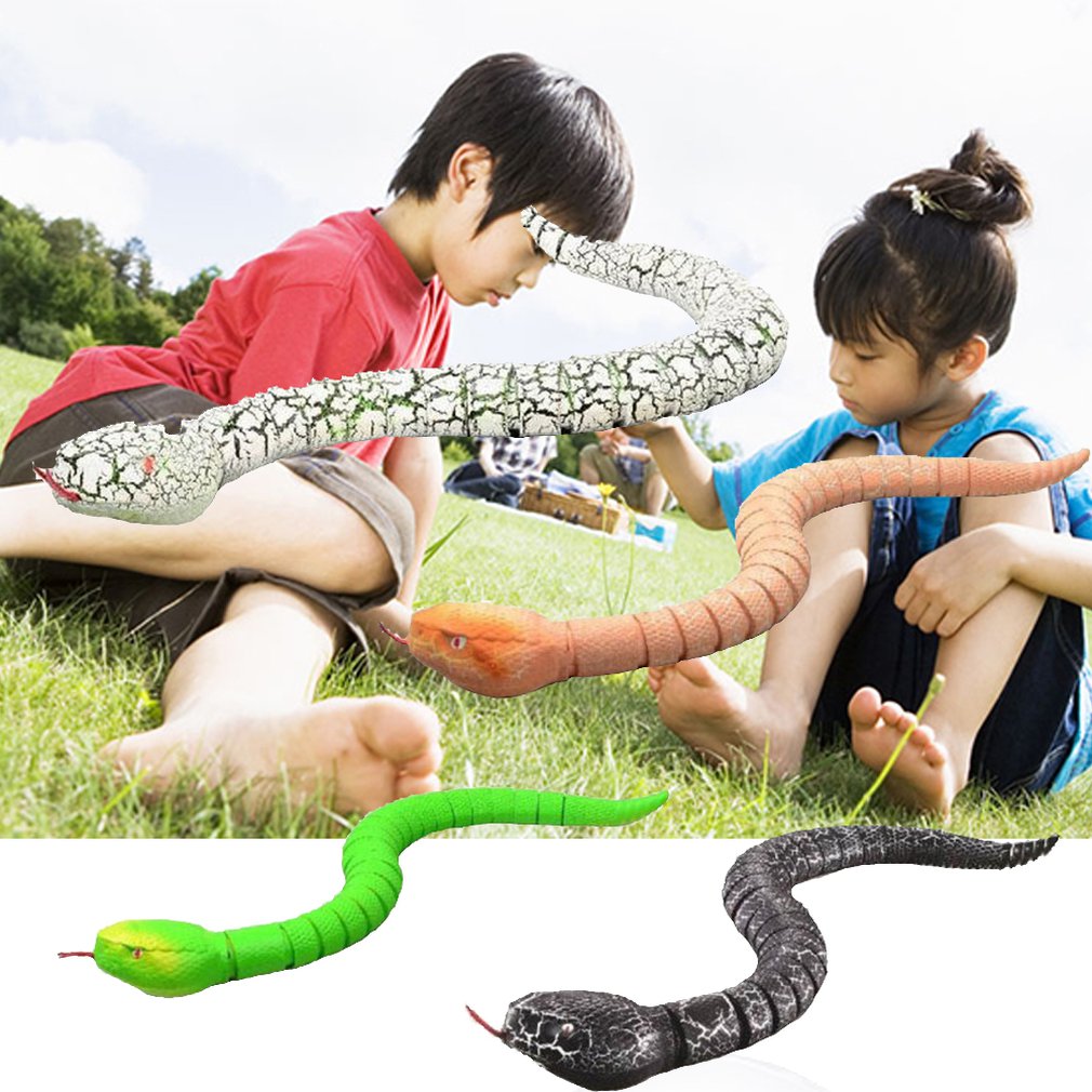 RC Animal Toys Kids Remote Control Snake Rattlesna... – Grandado