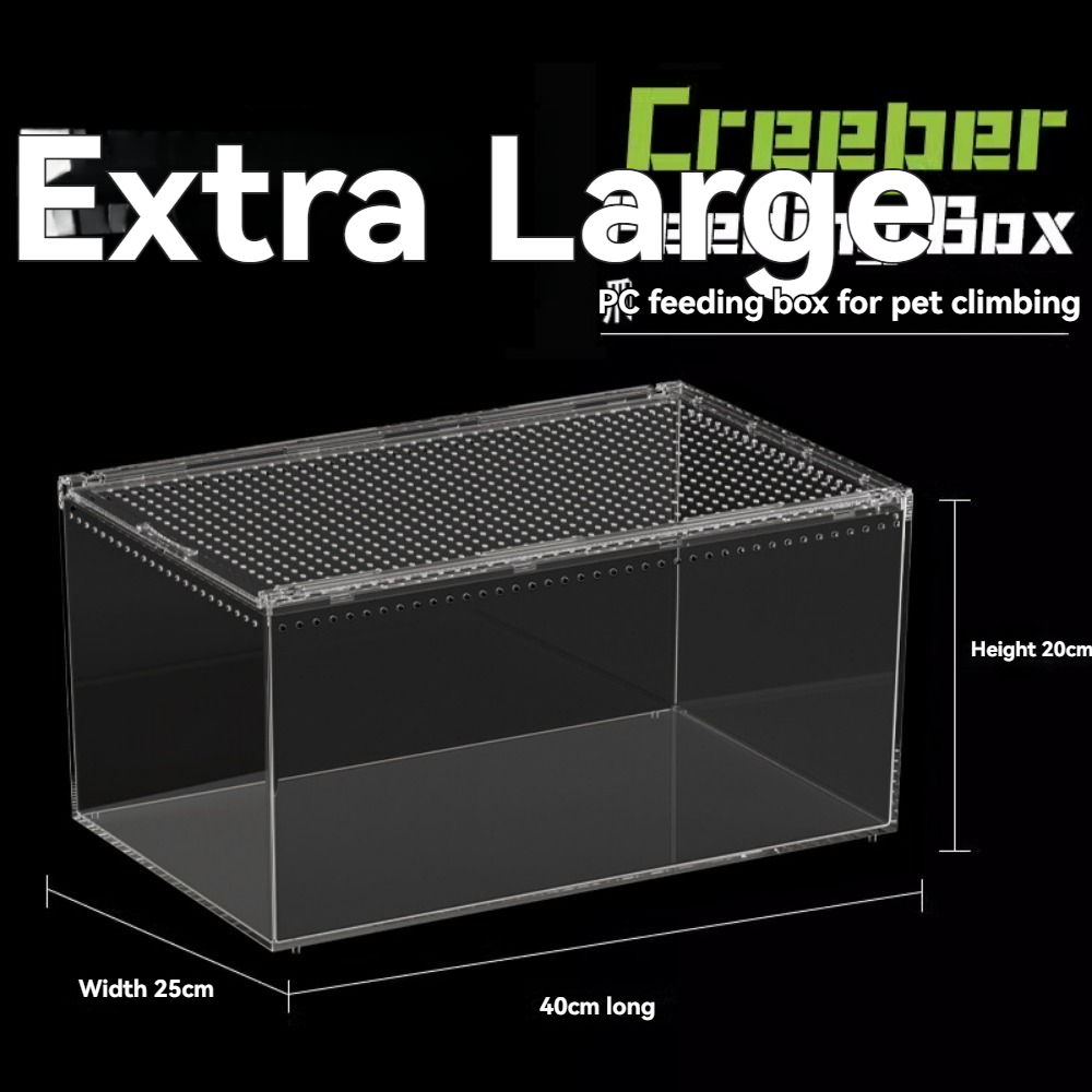 Magnetic Reptile Terrarium Tarantula Enclosure,Rep... – Grandado