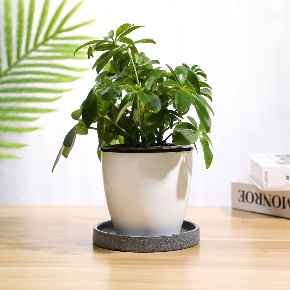YARNOW 2PCS Flowerpot Drip Tray Ceramic Cement Flo... – Grandado