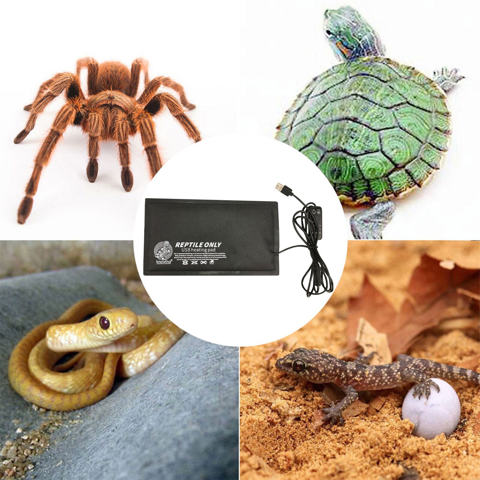 Reptile Heat Mat Reptile Terrarium Climbing Pet He... – Grandado