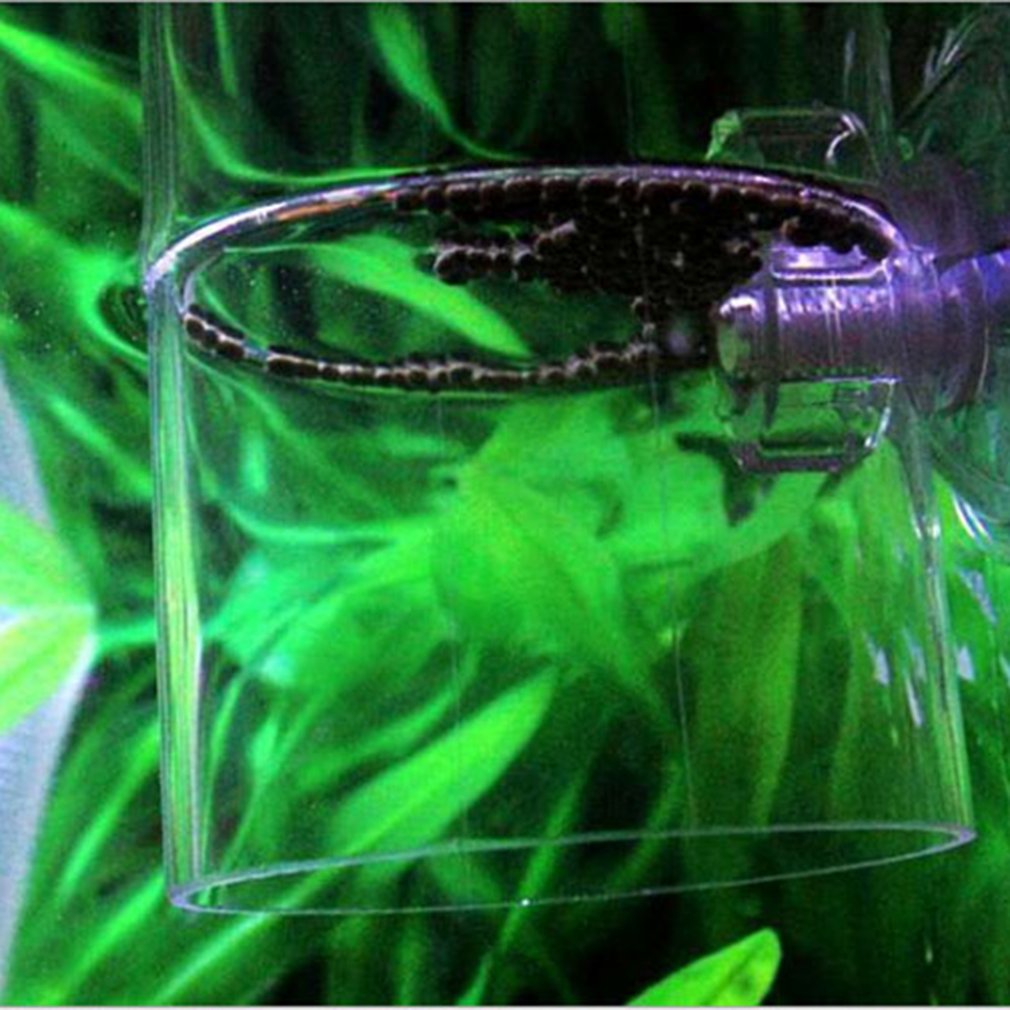 Aquarium Fish Feeding Circle Acrylic Feeding Ring ... – Grandado
