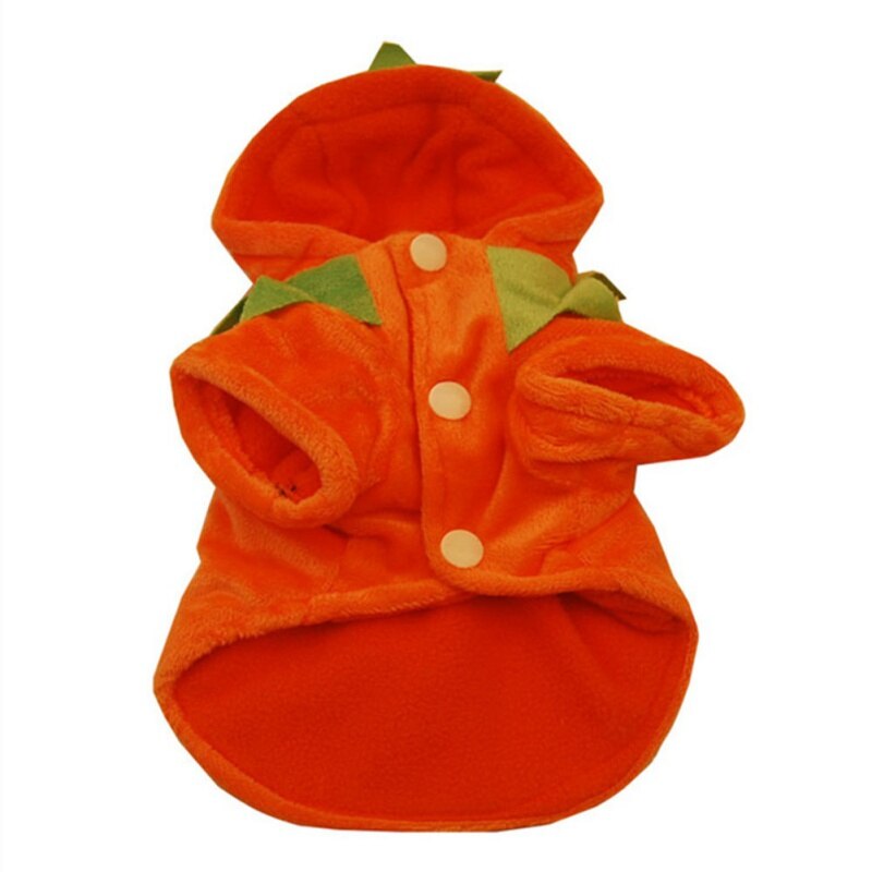 Autumn/Winter Dog Demon Pumpkin Pet Transformation... – Grandado