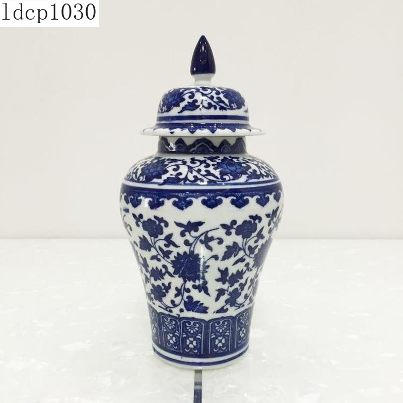 Ceramic Vase Blue and White Porcelain Storage Jar ... – Grandado