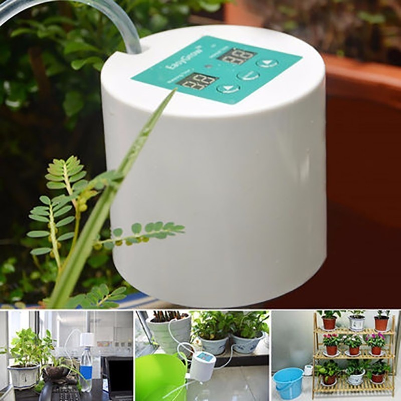 Intelligent Garden Succulents Rechargeable Automat... – Grandado
