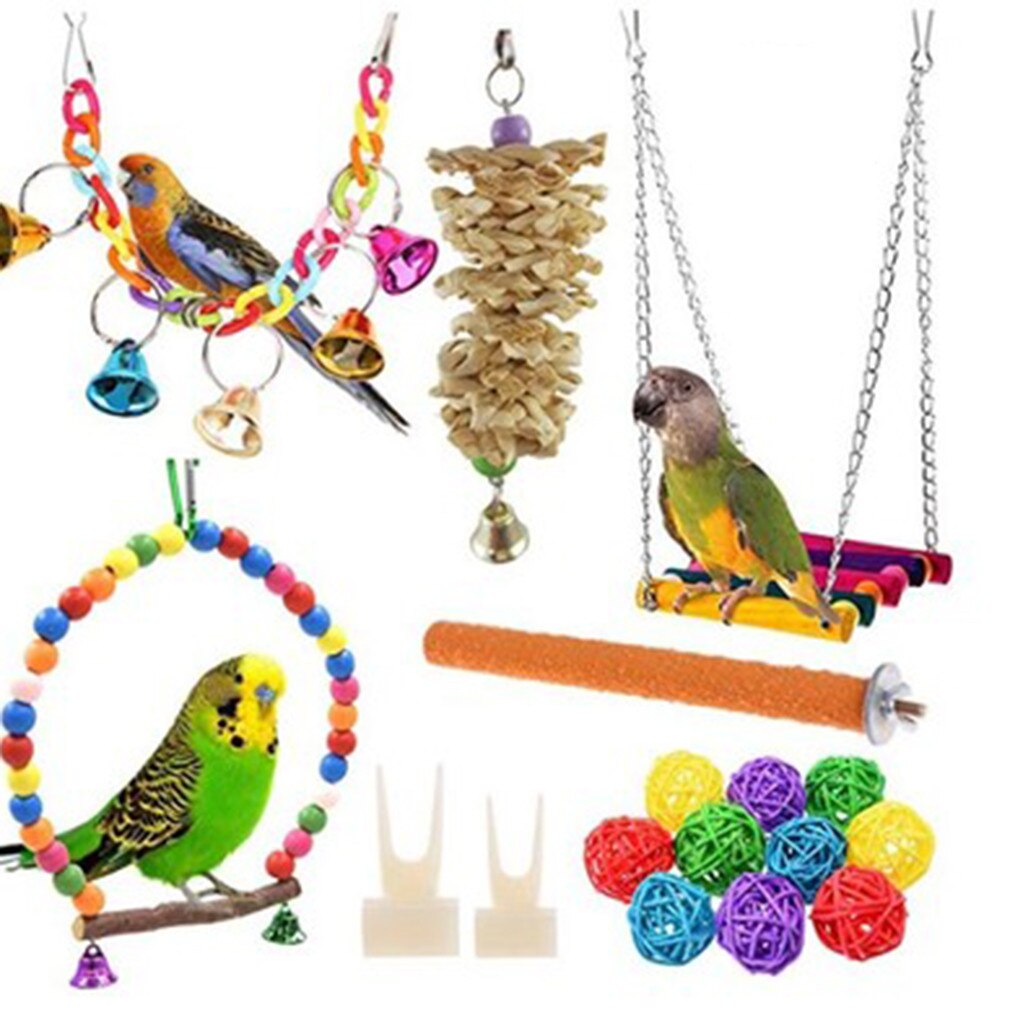 Myna Parrot Biting Toy Color 12pcs/set Pet Parrot ... – Vicedeal