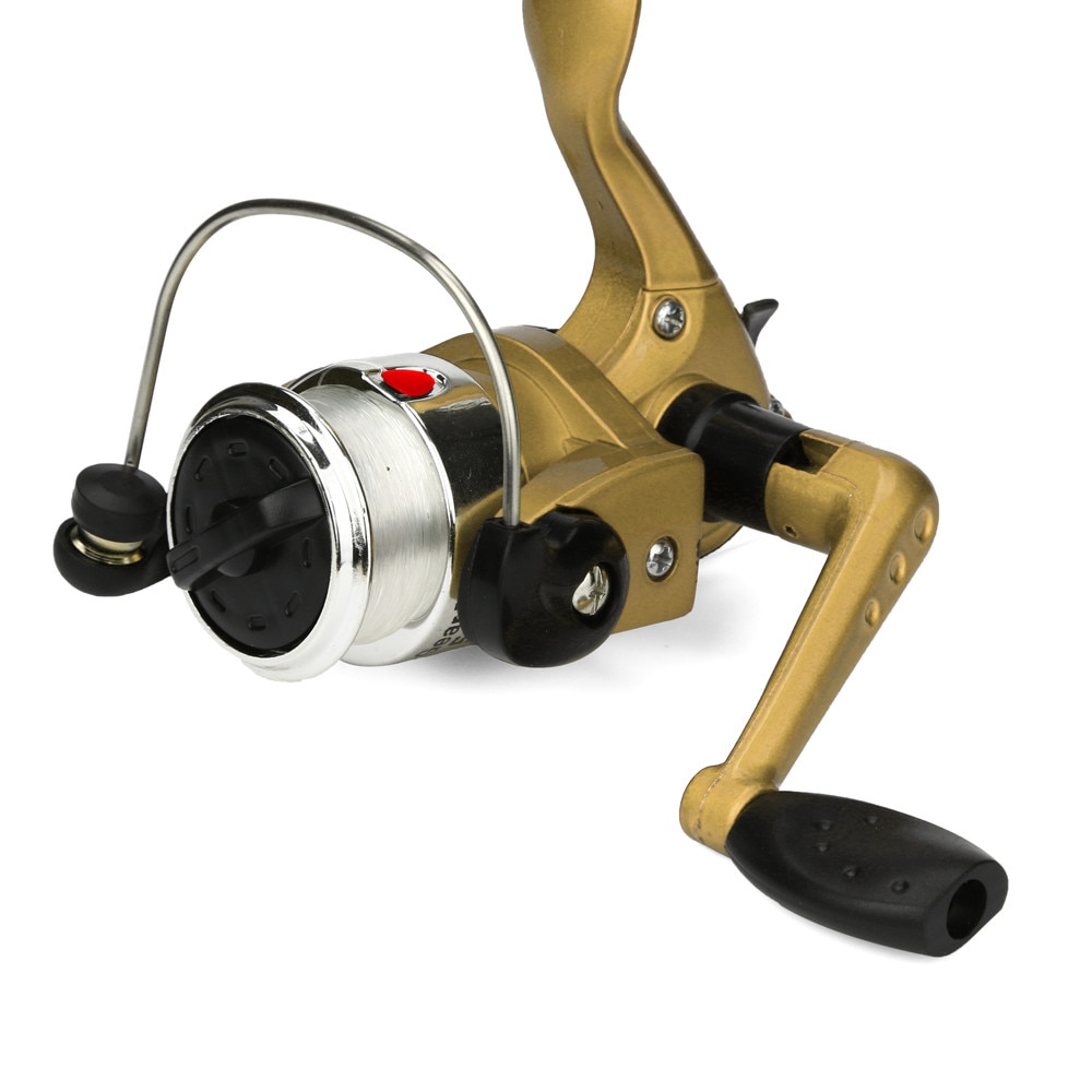 Mini Fishing Rod Portable Pocket Fish Pen Shape Al... – Grandado