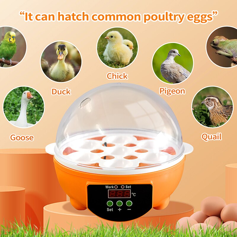 Mini 7 Eggs Incubator Manual Egg Turning Chicken D... – Vicedeal