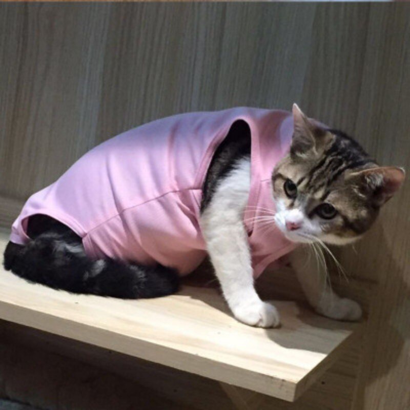 Pet Cat Recovery Suit Kitten Sterilization Surgery... – Grandado
