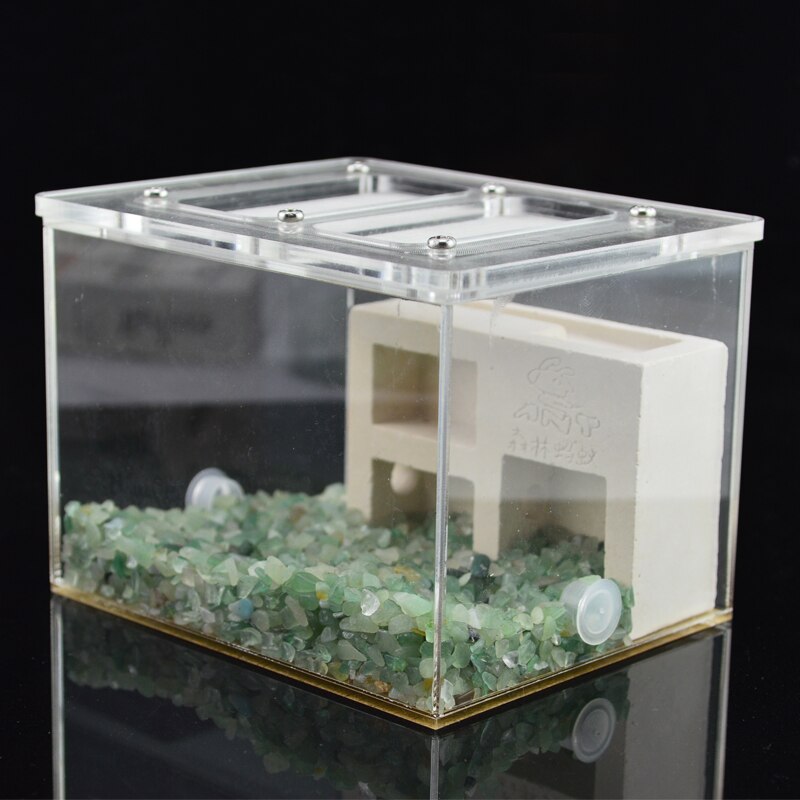 Mini ecological cylinder Acrylic cylinder plus sma... – Vicedeal