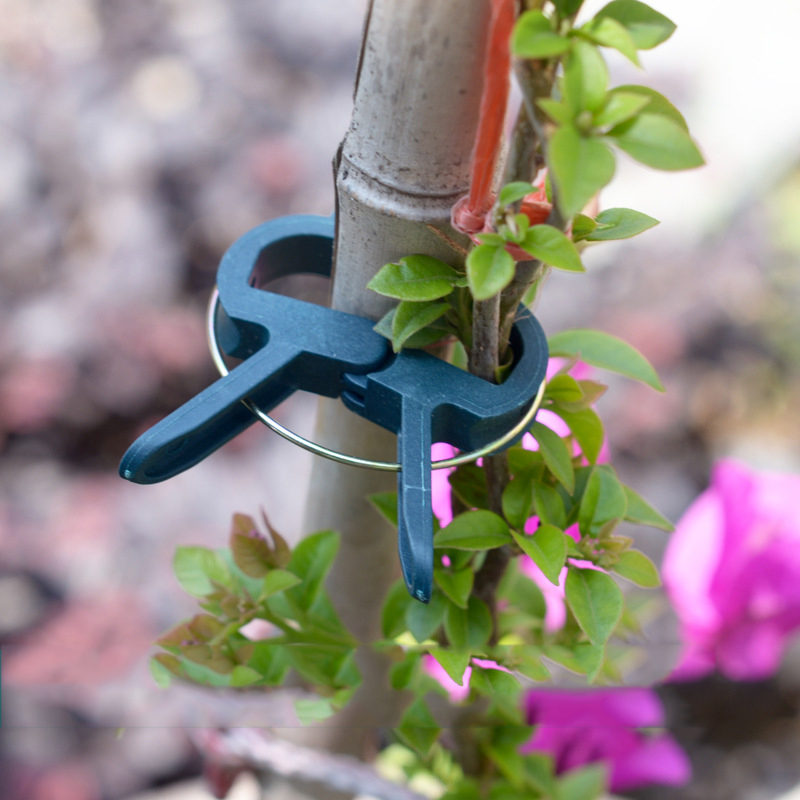 Garden Orchard Bonsai Tools Horticultural Clamp Ra... – Grandado
