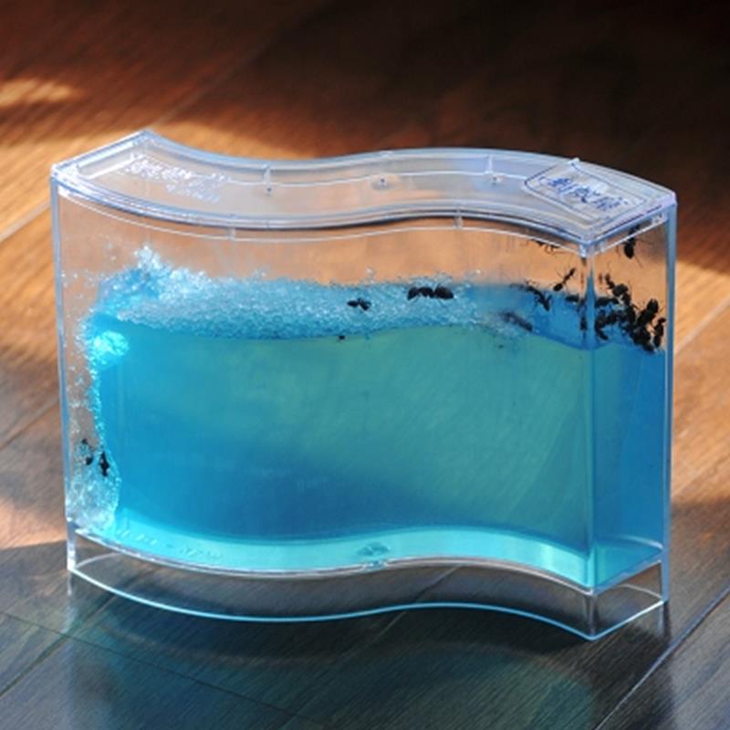 Ant 73 * 32 * 78mm Live Ant Habitat Pet Educationa... – Vicedeal