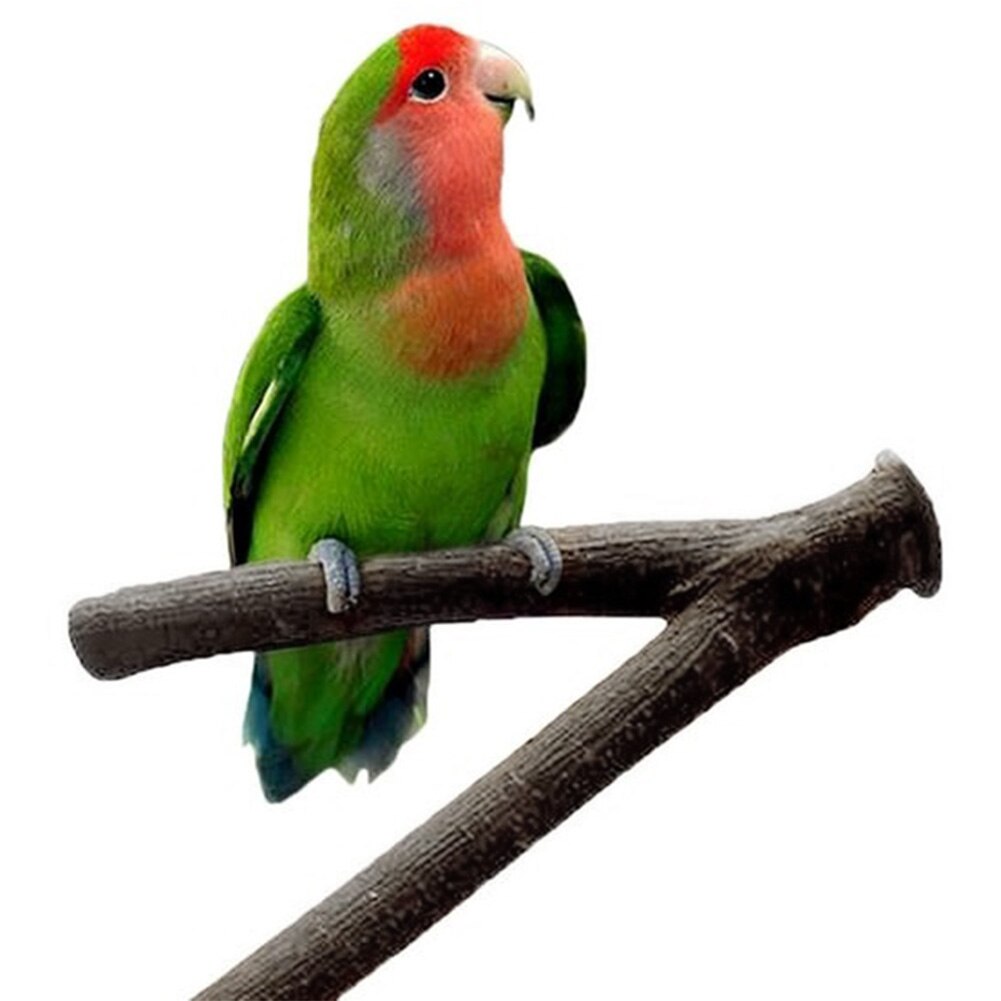 Vogel Zitstokken Speelgoed, Hout Baars Poot Slijpe... – Grandado