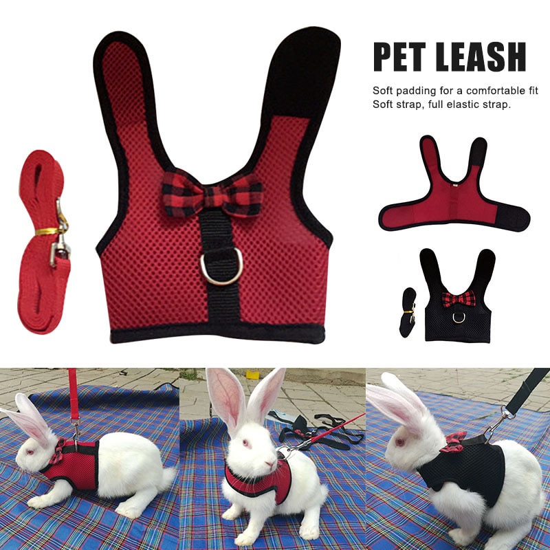 Pet Vest Small Pet Harness Leash Comfort Padded So... – Vicedeal