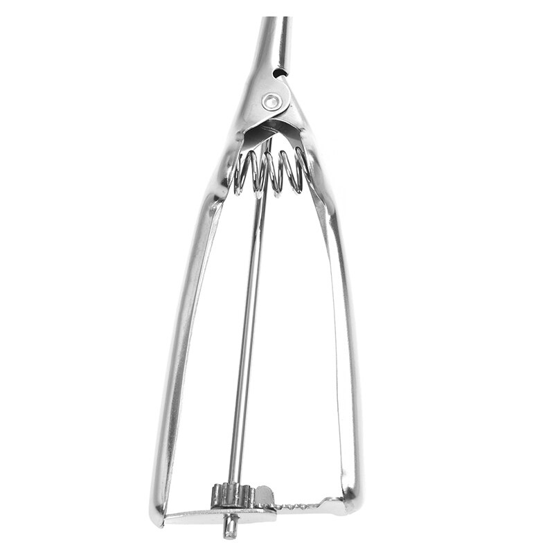 Kitchen Stainless Steel scoop for ice cream mash P... – Grandado